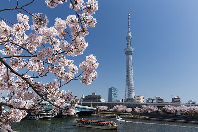 What to Do During a Layover at Narita International Airport - JAPAN ...