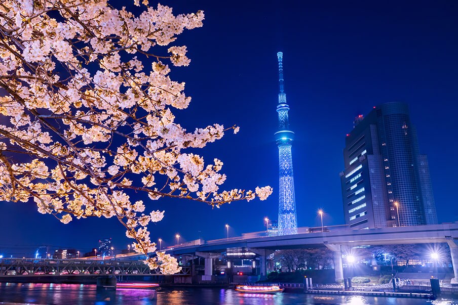 Your Guide To Tokyo's Best Tourist Attractions - JAPAN AIRLINES (JAL)