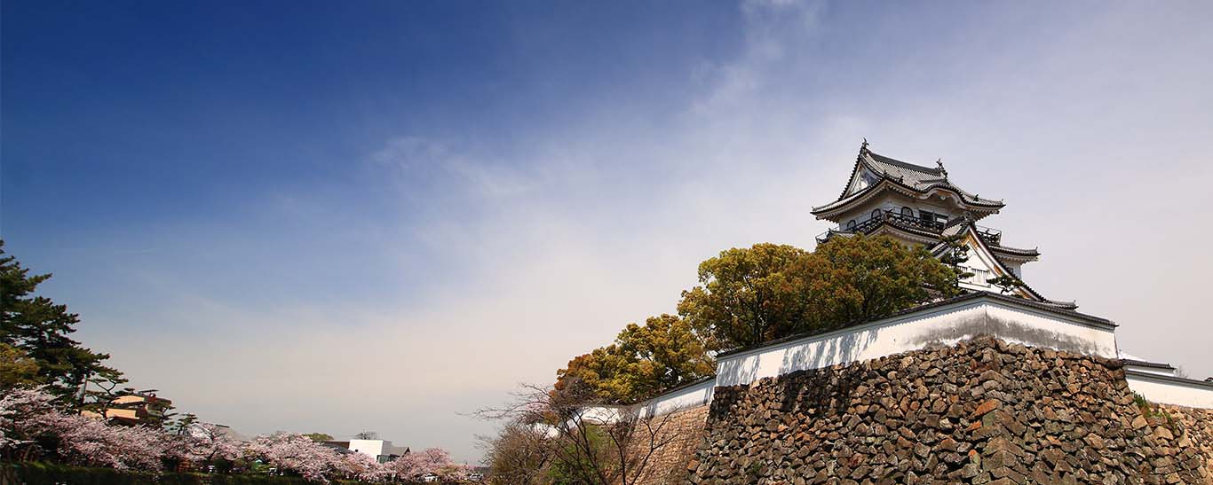 SPECIAL FEATURED Osaka-Senshu - JAPAN AIRLINES (JAL)