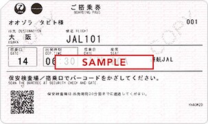 JAL Domestic Flights - What is an e-ticket itinerary / receipt?