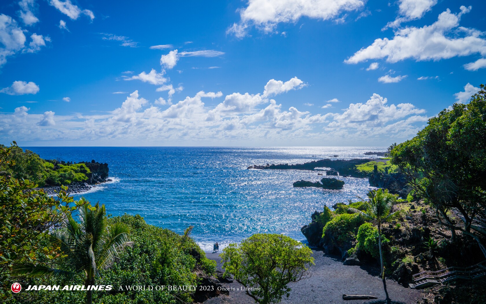 JAL | A WORLD OF BEAUTY JALカレンダー2023