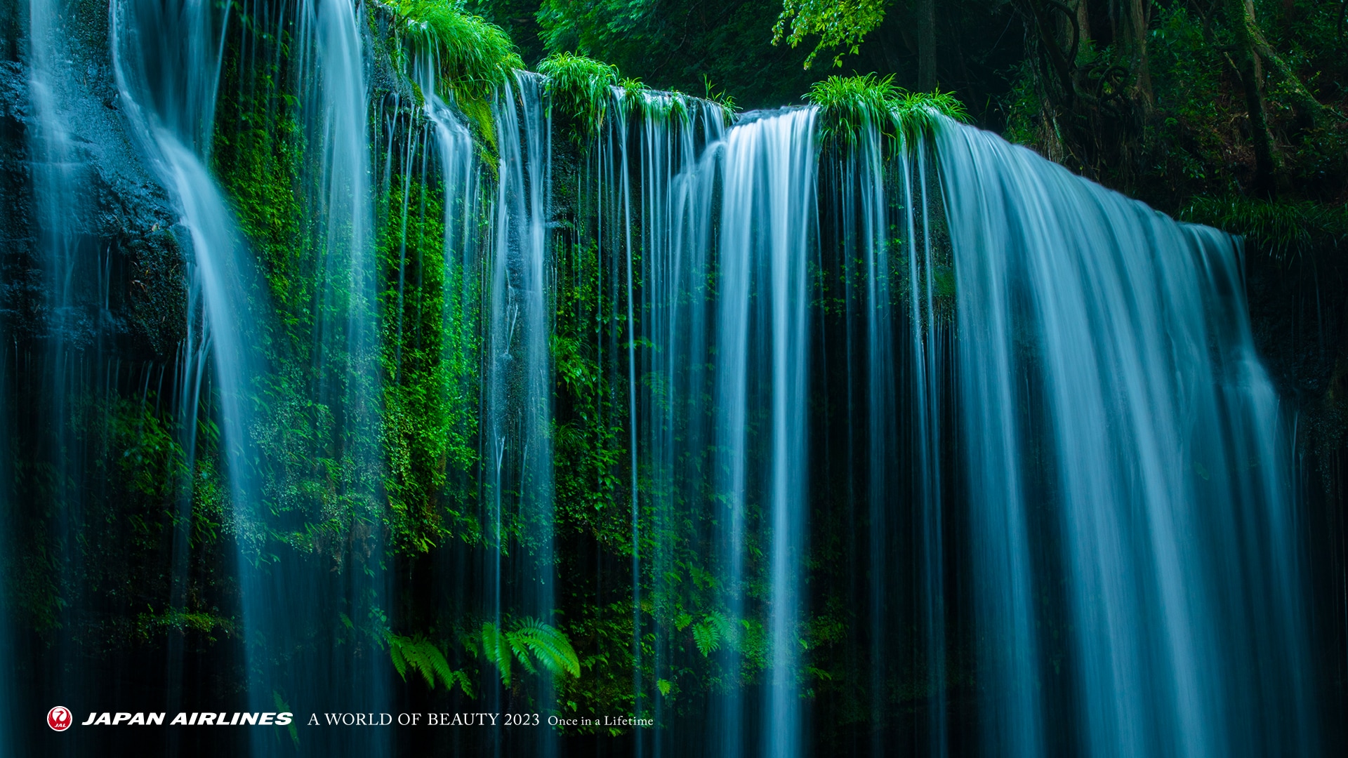 JAL | A WORLD OF BEAUTY JALカレンダー2023