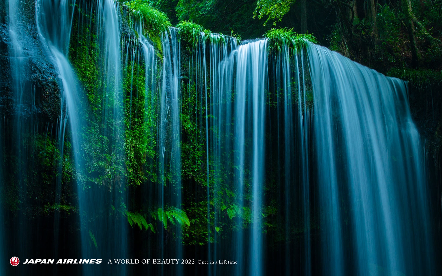 JAL | A WORLD OF BEAUTY JALカレンダー2023