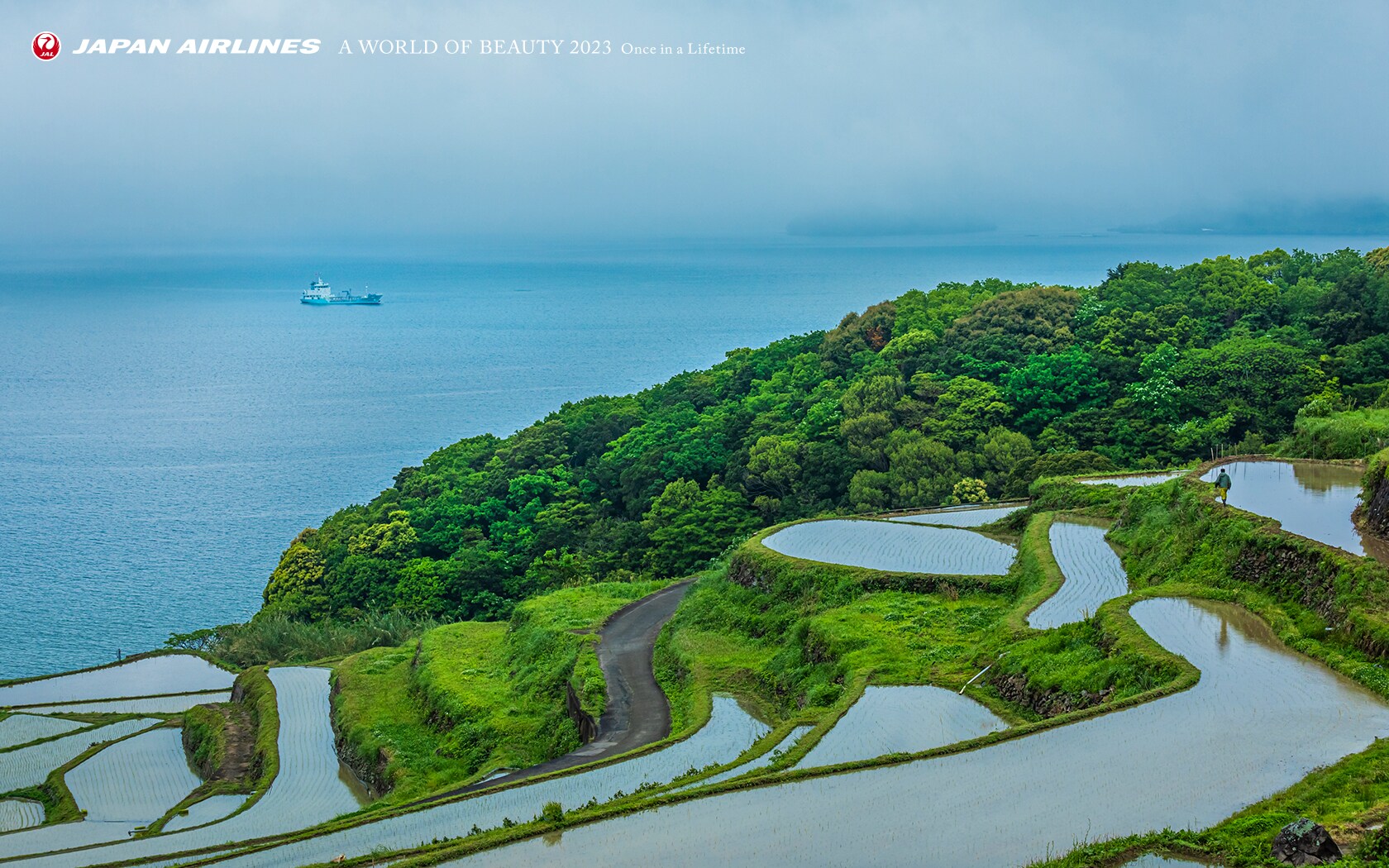 JAL | A WORLD OF BEAUTY JALカレンダー2023