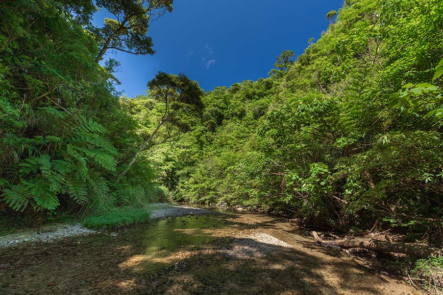 Relaxation and Recreation: 6 days in Japan's popular Okinawa region ...