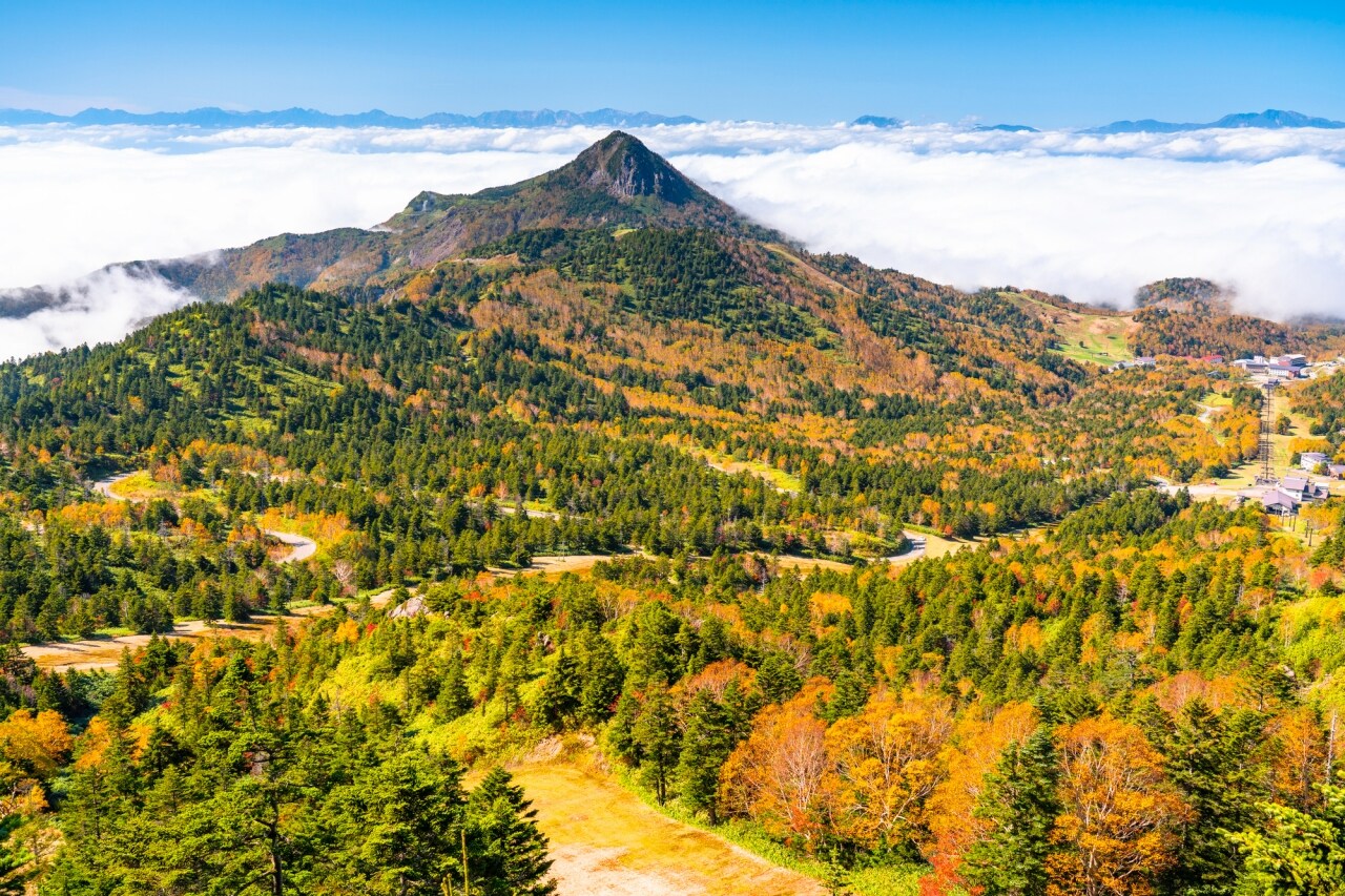 Scopri la natura e i parchi di Nagano - JAPAN AIRLINES (JAL)