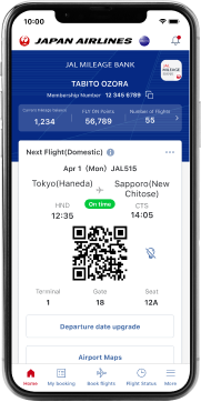 What you need to bring for boarding (Boarding procedures) - JAL ...