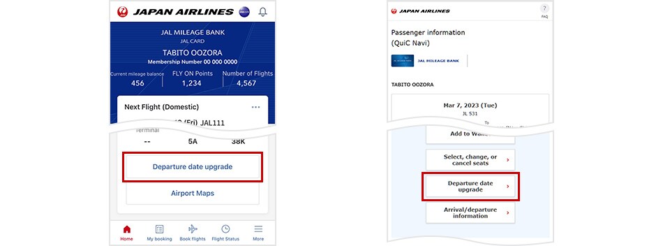 Departure date upgrade - JAL Domestic Flights