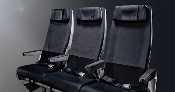 Economy Class (Inflight Service) - JAL Domestic Flights