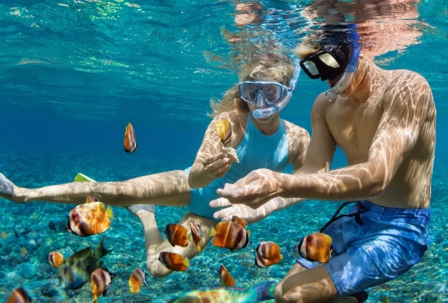 国際線 JALスマイルキャンペーン