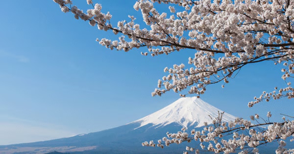 JAL | ホテル・レンタカーなど
