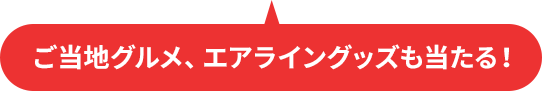 JAL | 自然豊かな離島に癒される「九州を拠点とする航空会社3社との新しい取り組み」