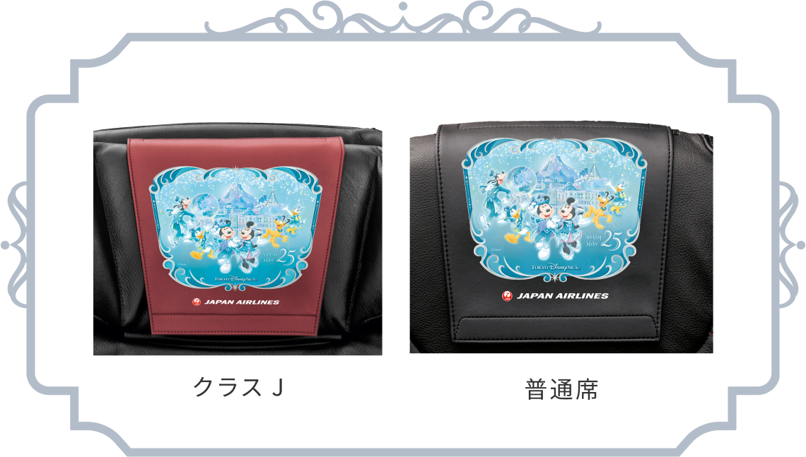 JAL Jubilee Express 2026年6月4日（木）から運航開始！