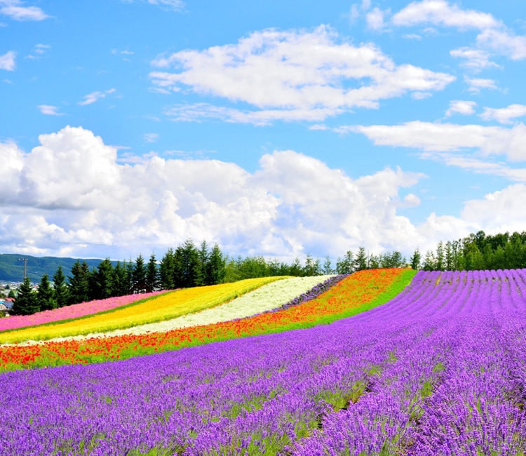 JALパック | 北海道旅行・ツアー