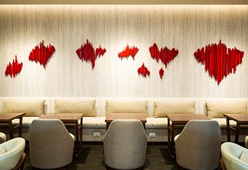 JAL | Hawaii Anniversary Trip