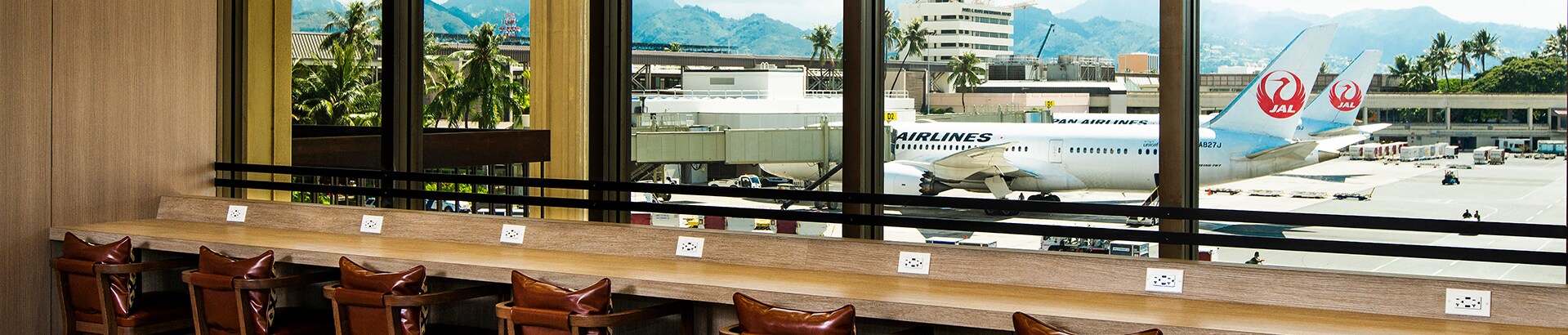 JAL | Hawaii Anniversary Trip