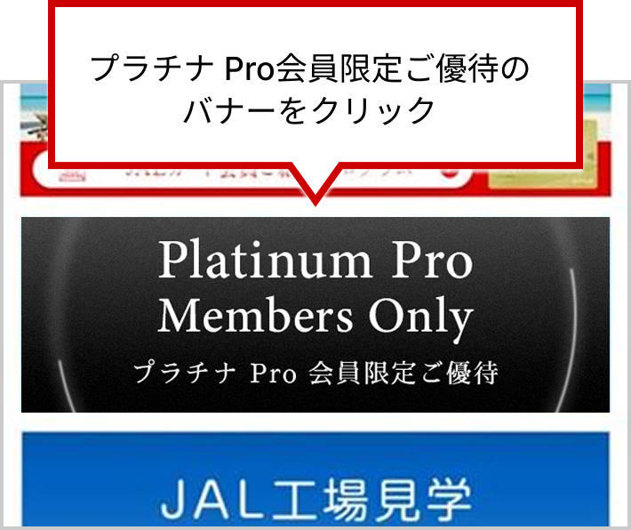 JALカード | JAL・JCBカード プラチナ Pro
