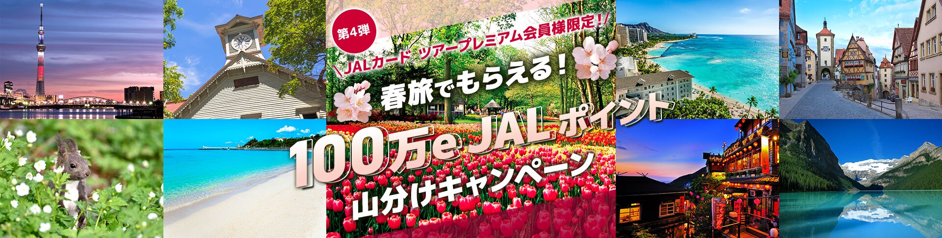 JALカードツアープレミアム会員様限定！ 春旅でもらえる！100万e JALポイント山分けキャンペーン