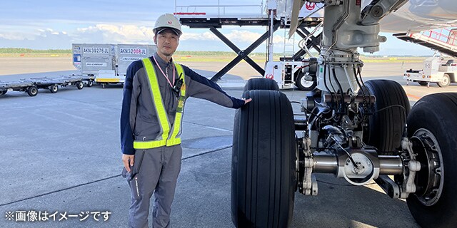 JALオリジナル体験特集