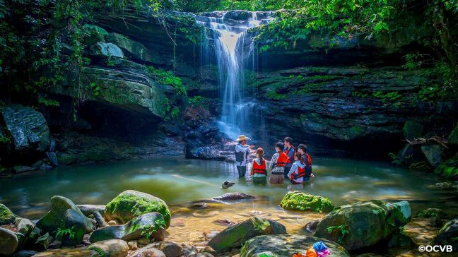 World Natural Heritage in Japan Step into the Wilder Side of Japan for ...
